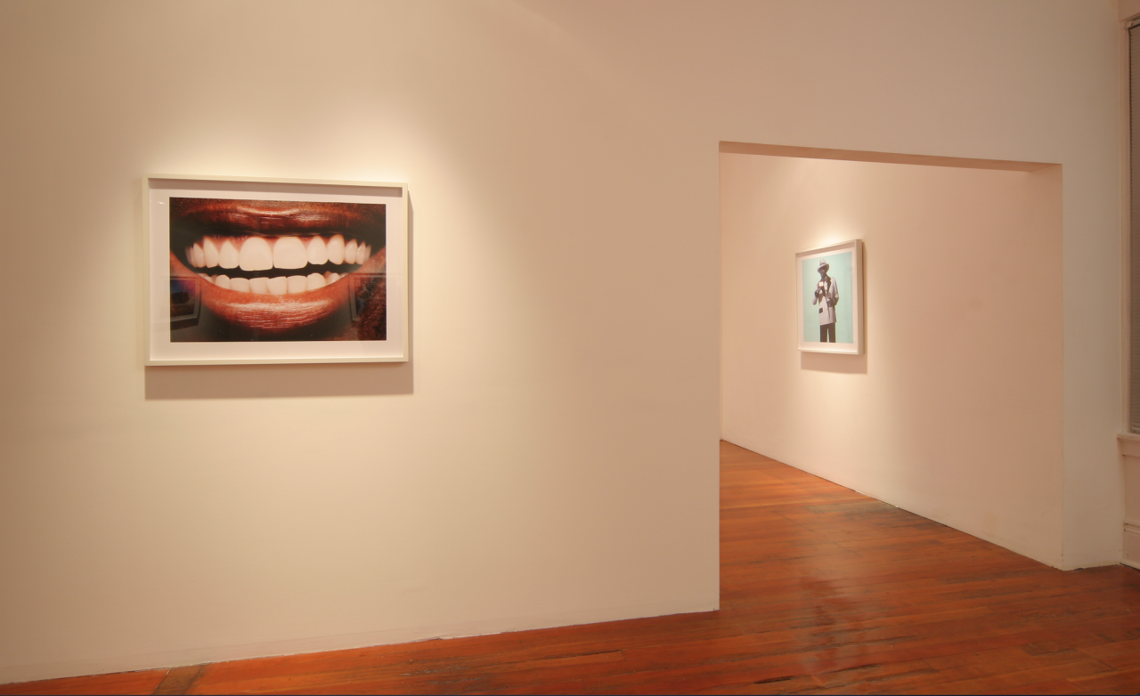 Lisa Dent Gallery | Lisa Dent